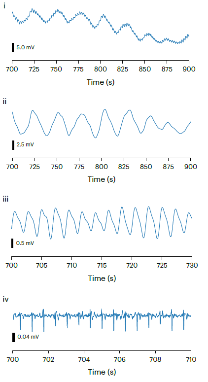 Gastroenterology | DARE Lab